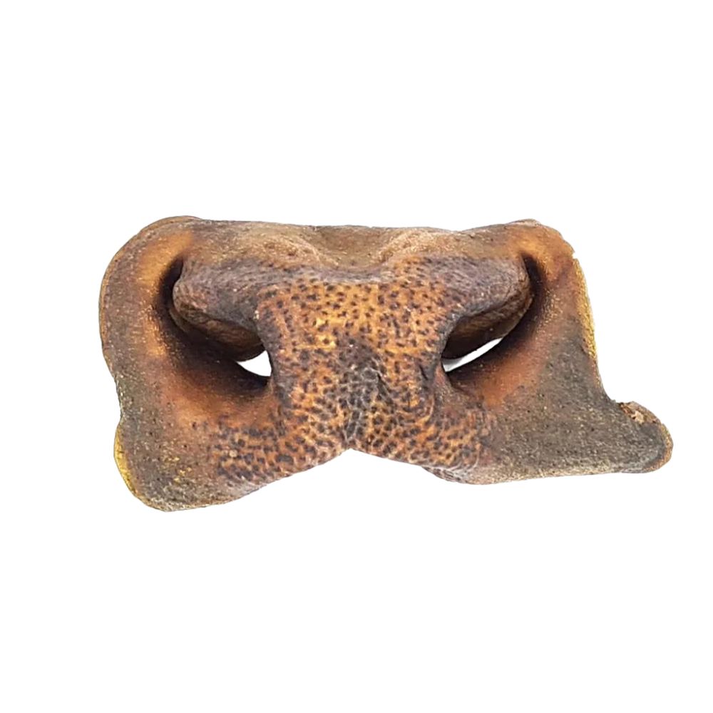 Museau de boeuf | Friandises naturelles pour chiens – Chien Heureux